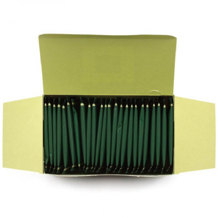 Peppermint (2g)*500 - Herbal Tea - Dammann Frères