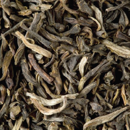 4942 - Yunnan (2G)*24 - Green Tea - Dammann Fr res