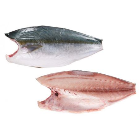 Japanese Yellowtail Fillet With Collar (~1.2kg) - Nippon Premium