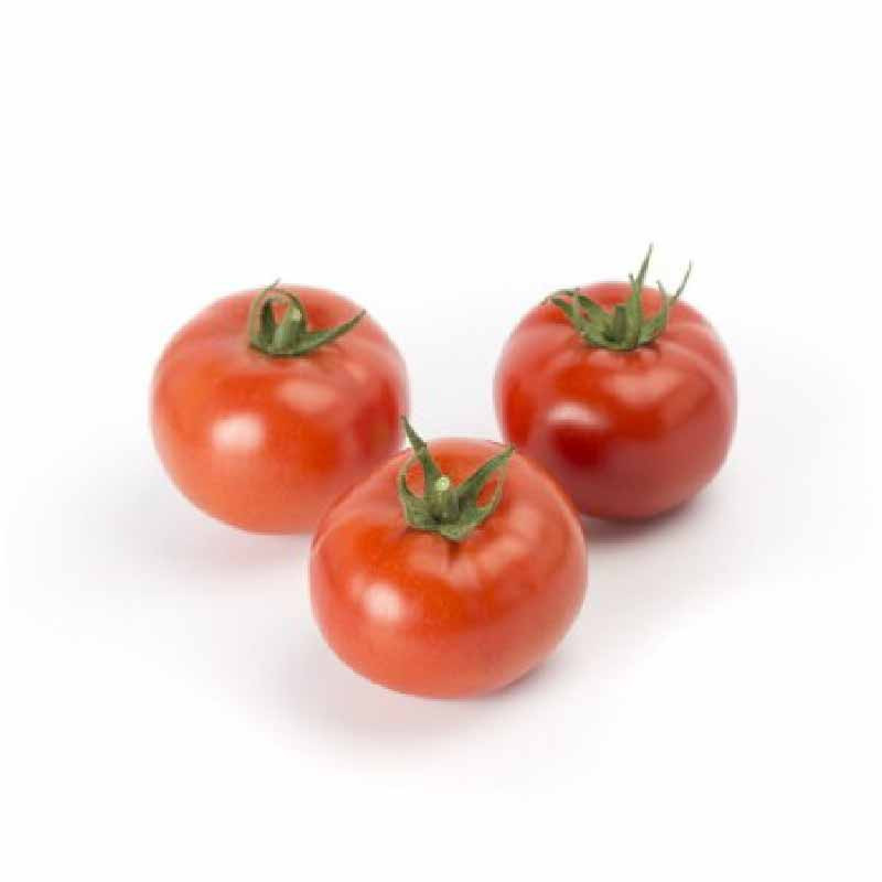 Dried Tomato In Oil 340g - Metro Chef