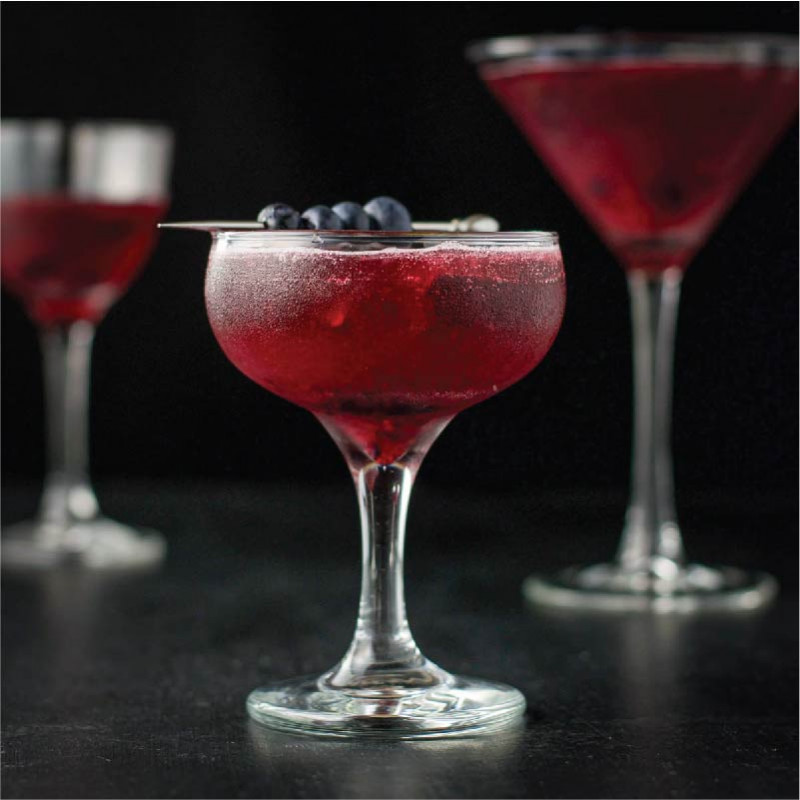 Mixer - Concentrate Puree Mix Blueberry (1l)