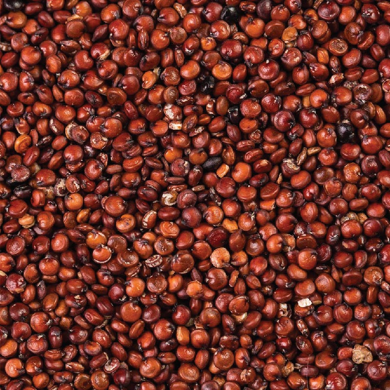 Red Quinoa (500G) - Sabarot