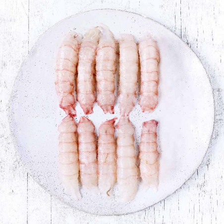 Langoustine Tails Meat Shell Off Frozen 18g/tail (~220g) - Cinq Degrés ...